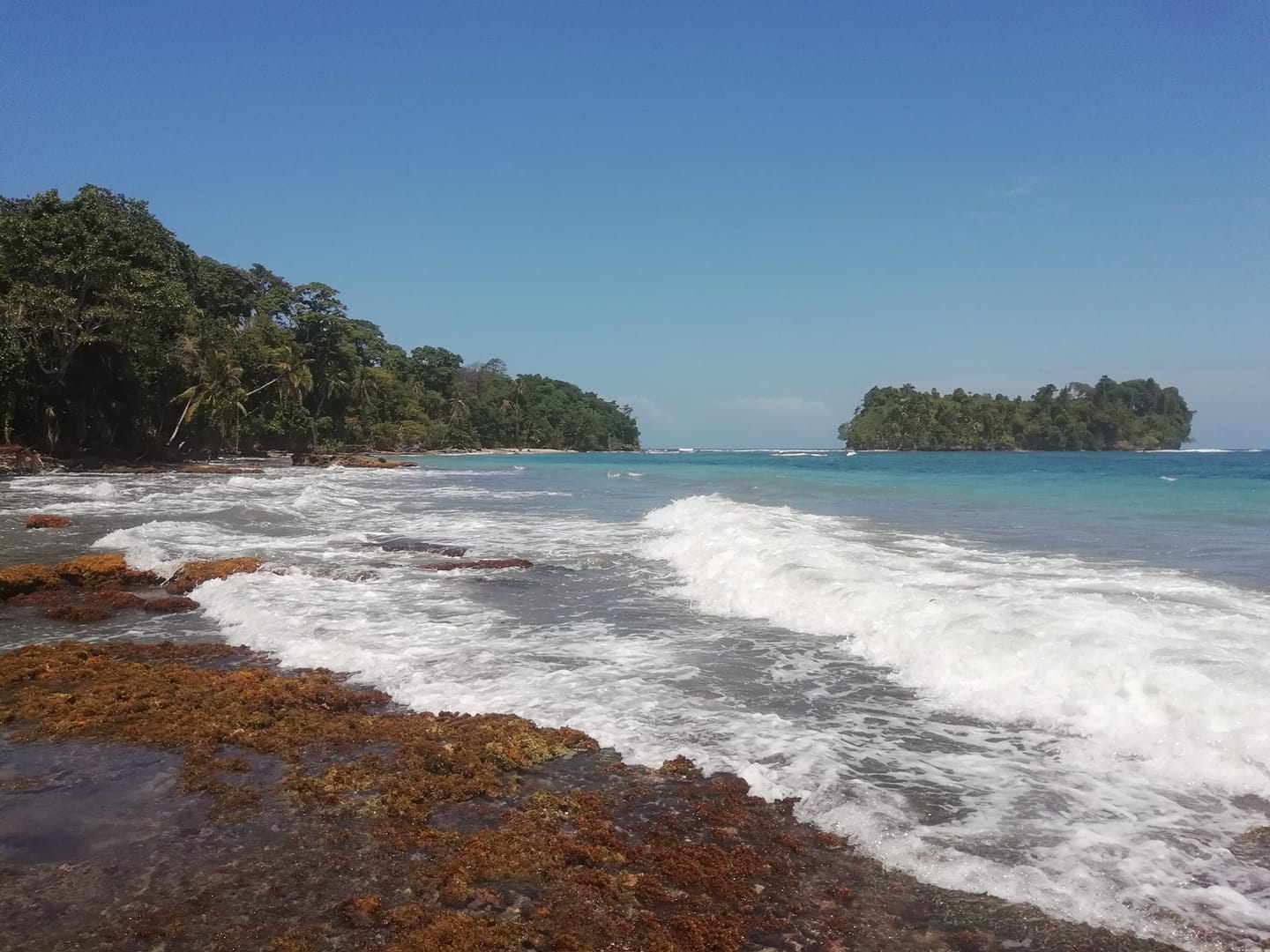 Caminata de Manzanillo a Punta Mona (Regreso en bote) - Gandoca Tours