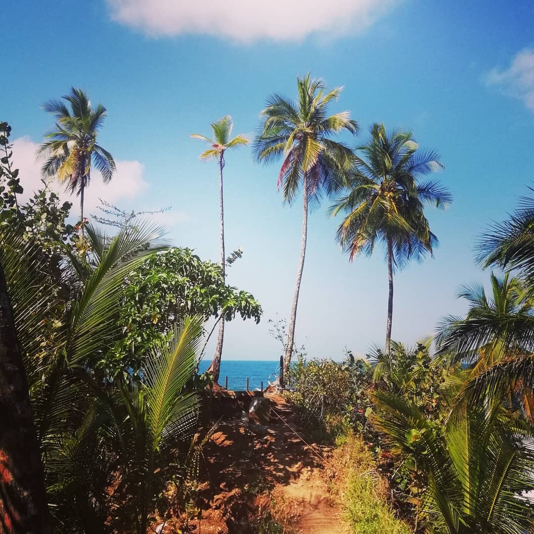 Wild Refuge Gandoca-Manzanillo JMS (1 day tour) - Gandoca Tours